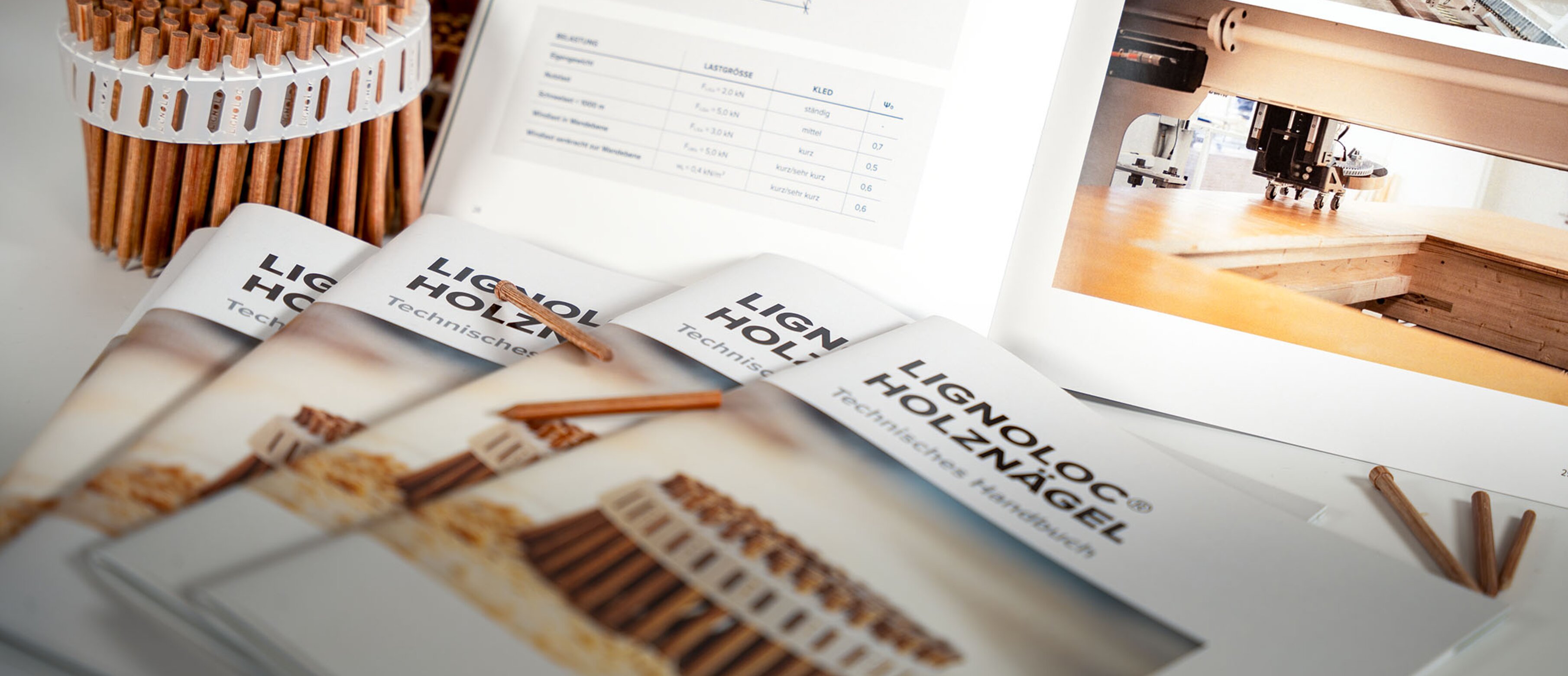 LIGNOLOC® technisches Handbuch | Statik sicher planen | Beck Fastening