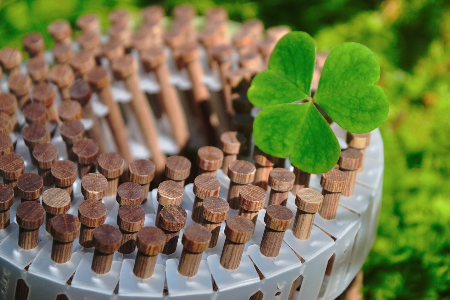 LIGNOLOC® | Beck Fastening