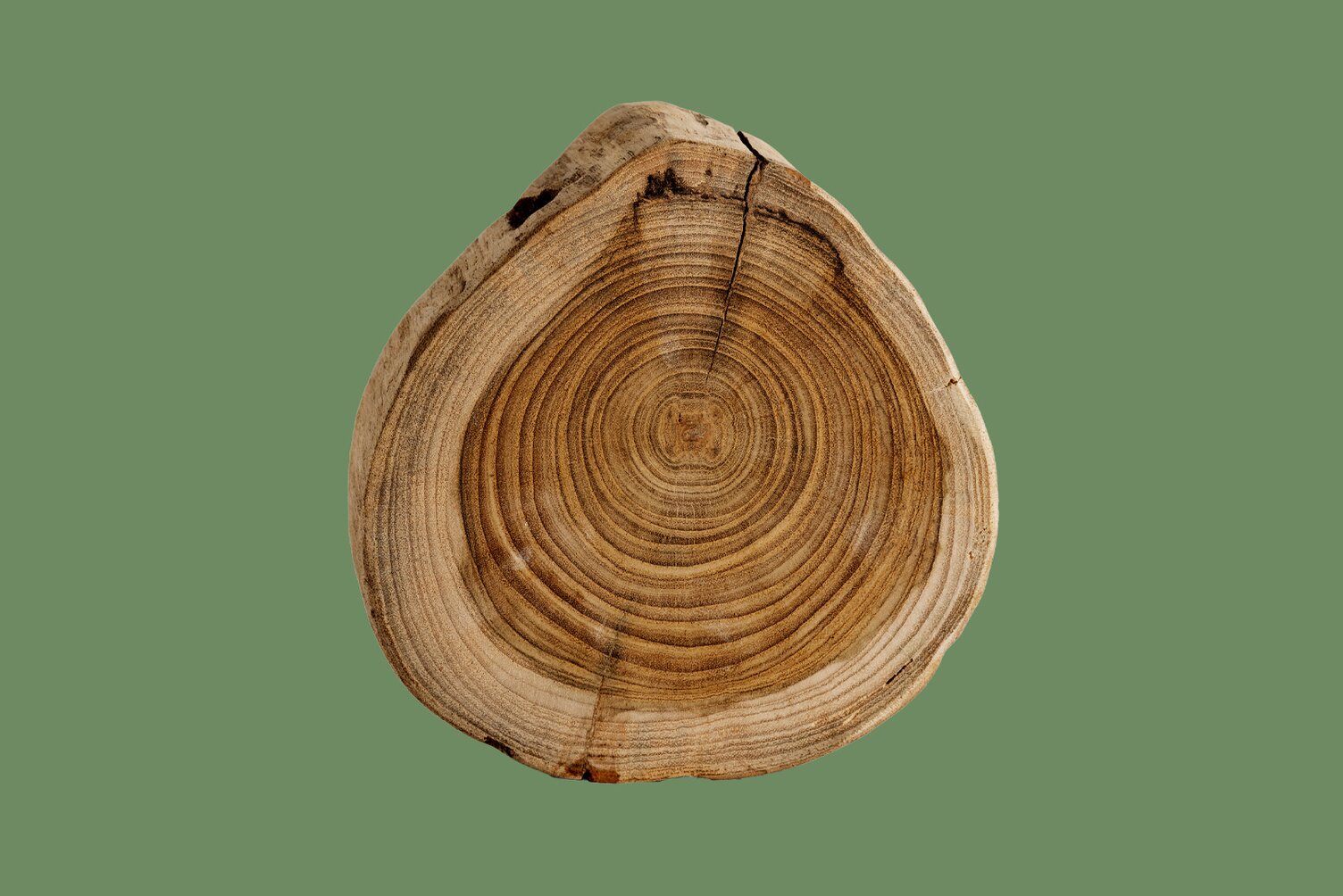 LIGNOLOC® | Beck Fastening