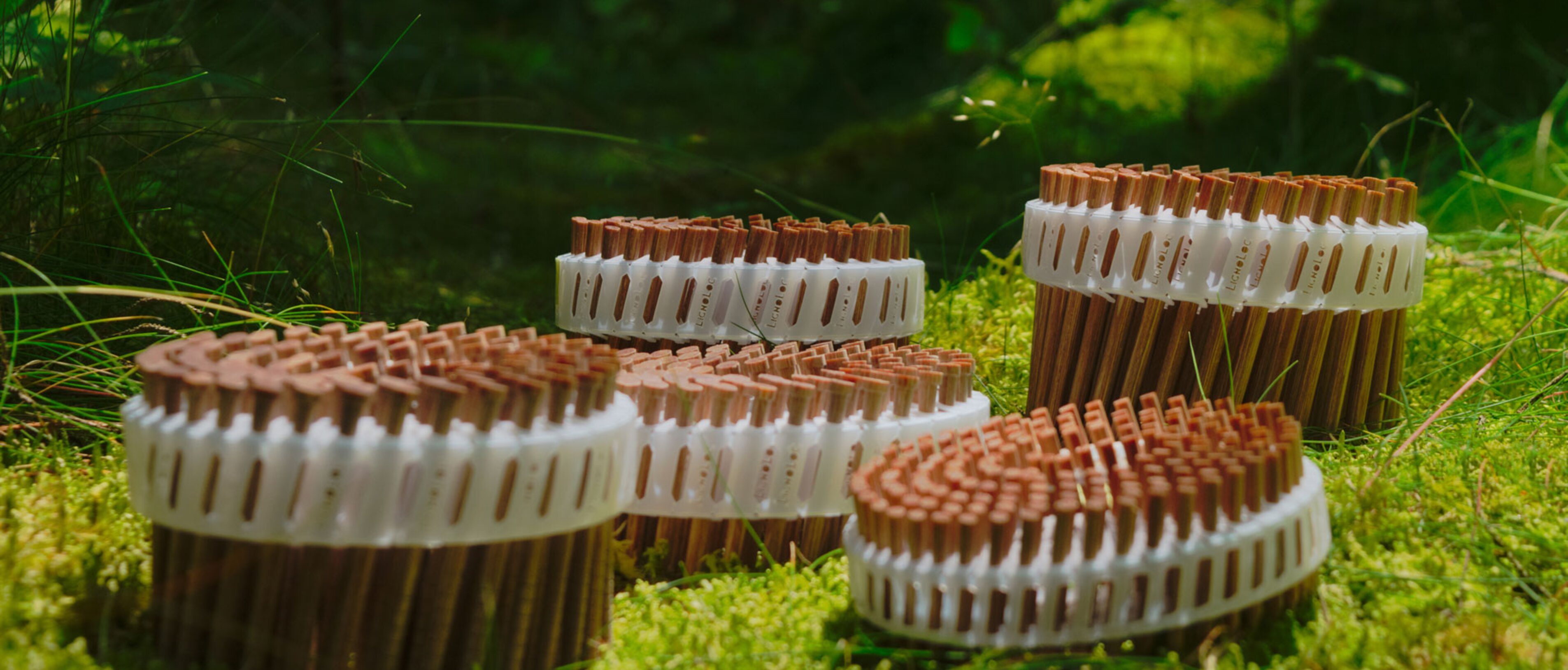 LIGNOLOC® | Beck Fastening