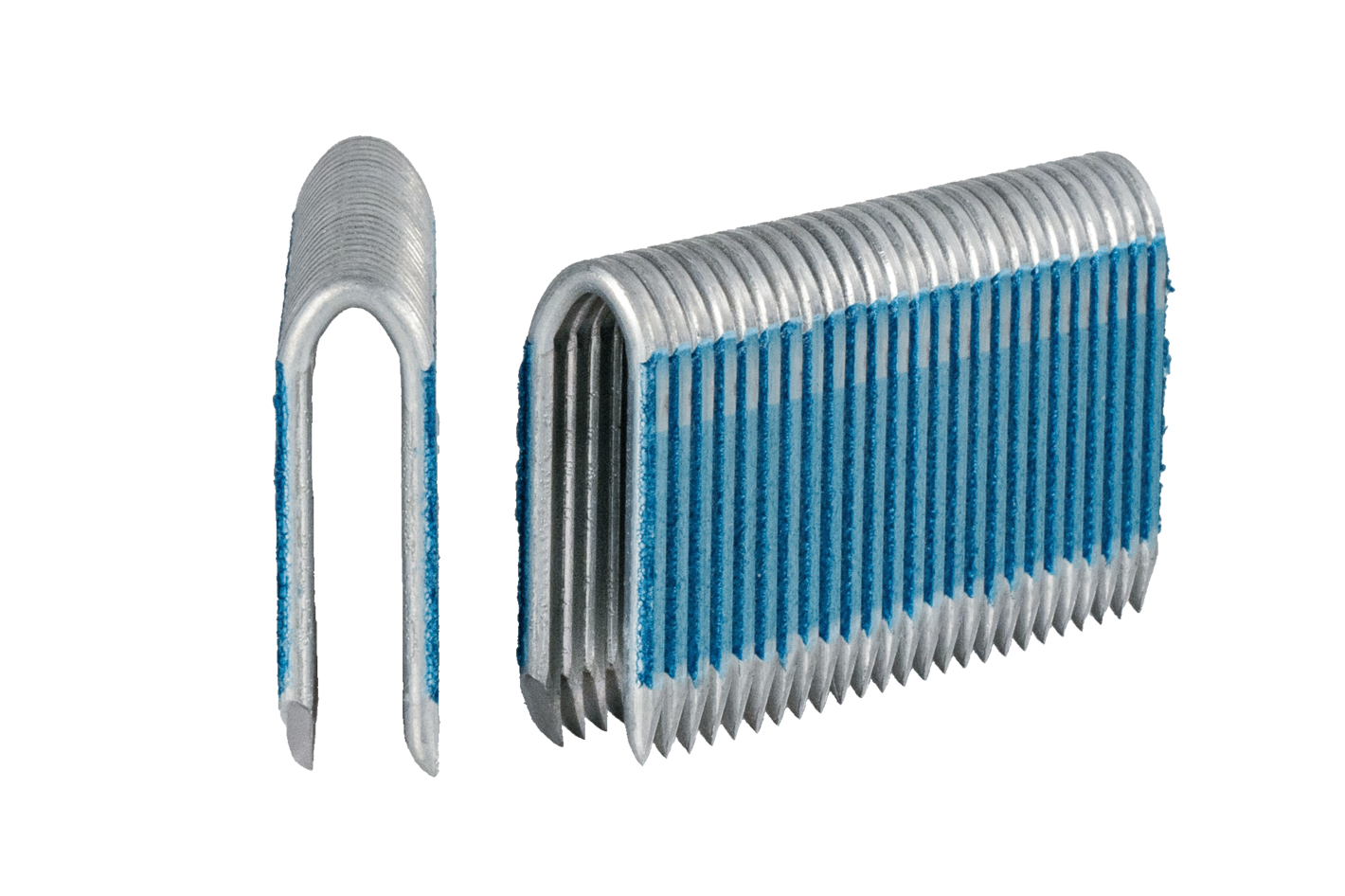 BECK FENCE STAPLE 2.5 | Beck Fastening